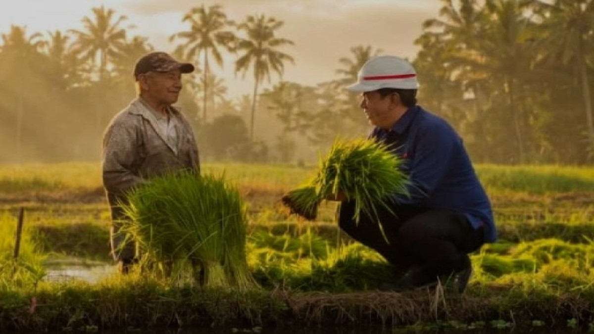 Irigasi DI Beo Talaud Hidup Lagi Setelah 4 Tahun Mati, Petani Tak Lagi ...
